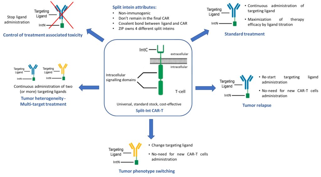 CLICK CAR - Biat Group
